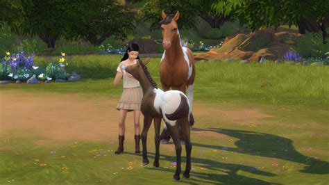 The Sims 4 Horse Ranchs Horses Are An Absolute Delight
