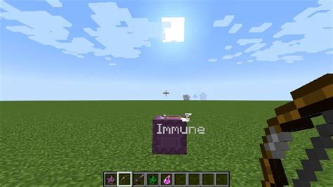 Forge Damage Indicator Mod 1 12 2 1 16 5