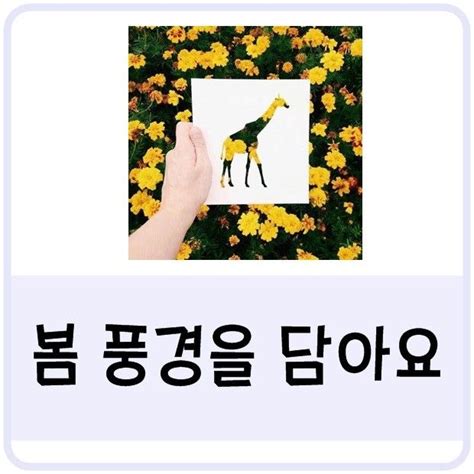 꼬미쌤 실외활동어린이집유치원봄과동식물봄홈스쿨봄풍경봄봄소풍 홈스쿨 유치원 유치원 과학영역