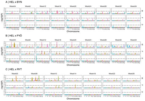 Qtl Mapping Results For Age Specific Body Size Results From The Download Scientific Diagram