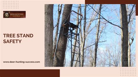 Tree Stand Safety