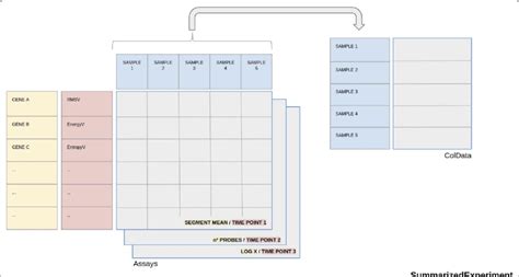 Summarizedexperiment Object Schema In Yellow A Classic Use Of