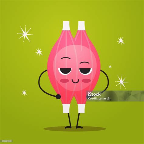 귀여운 근육 만화 캐릭터 재미 인간의 내부 기관 마스코트 해부학 의료 의학 개념 가공의 인물에 대한 스톡 벡터 아트 및 기타