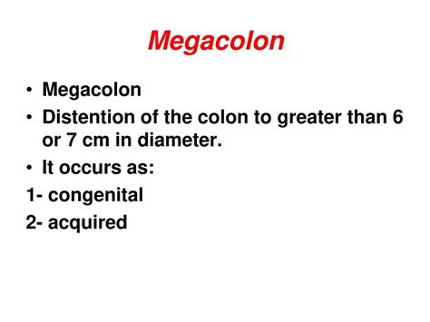 Small Intestine Ppt Download