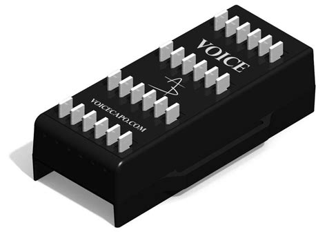 The New Voice Capo Bluegrass Today