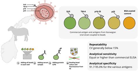 Animals Free Full Text Development Of A Bead Based Multiplex