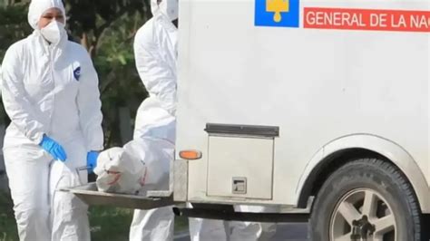 Dentro De Una Maleta Hallaron Cuerpo Desmembrado De Un Biólogo