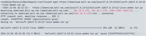 Linux安装BellSoft JDK 17 LTS CSDN博客