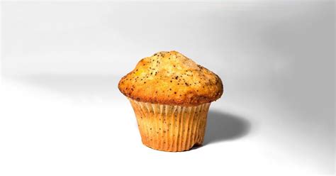 4 Reasons Poppyseed Sized Ticks Are More Dangerous Than Adult Ones
