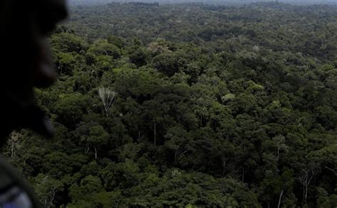 Deforestation Of Brazilian Amazon Hits Record In April Science News
