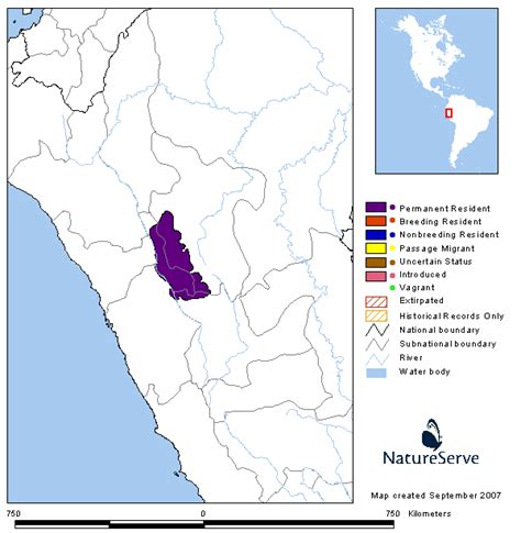 Americas Range Map Yellow Browed Toucanet