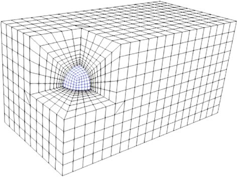 Numerical Simulation Of Heat Transfer Properties Of Large Sized Biomass Particles During
