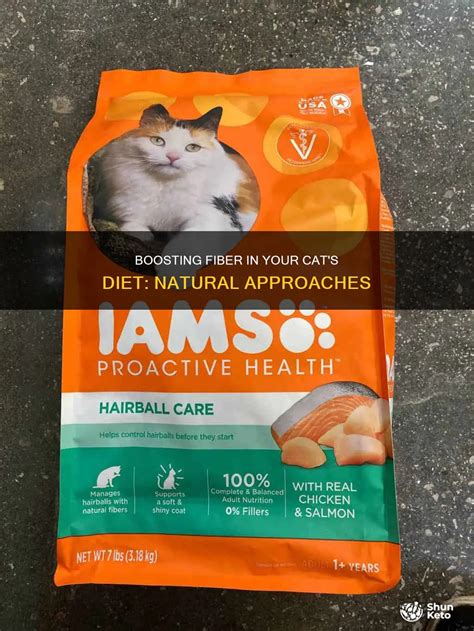 Boosting Fiber In Your Cats Diet Natural Approaches Shunketo