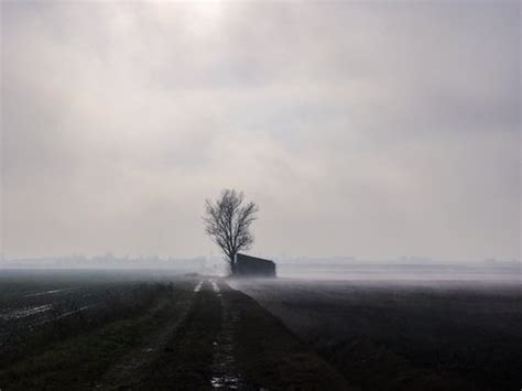 Nackte Bilder Durchsuchen Archivfotos Vektorgrafiken Und Videos Adobe Stock