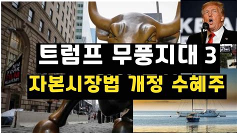 트럼프 무풍지대3자본시장법 개정 수혜주 Youtube