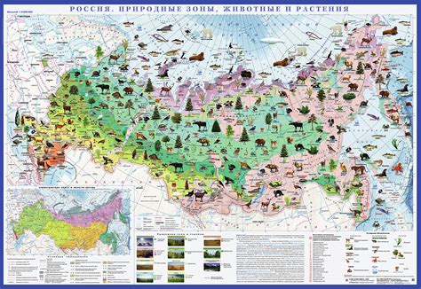 Карта Природных Зон России купить на OZON по низкой цене