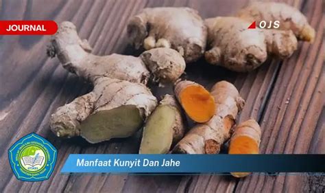 Temukan 6 Manfaat Kunyit Dan Jahe Yang Bikin Kamu Penasaran E Journal