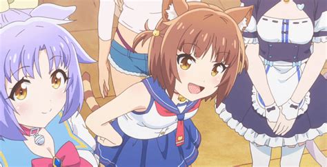 Coconut Nekopara Maple Azuki Minazuki Shigure Cinnamon Nekopara Nekopara