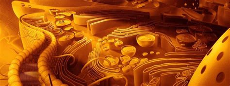 Knowable Magazine On Linkedin Mitochondria And The Origin Of Eukaryotes