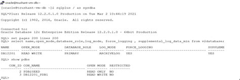 Oracle Goldengate Big Data Adapters Use Cases Architecture With Implementation Demo By