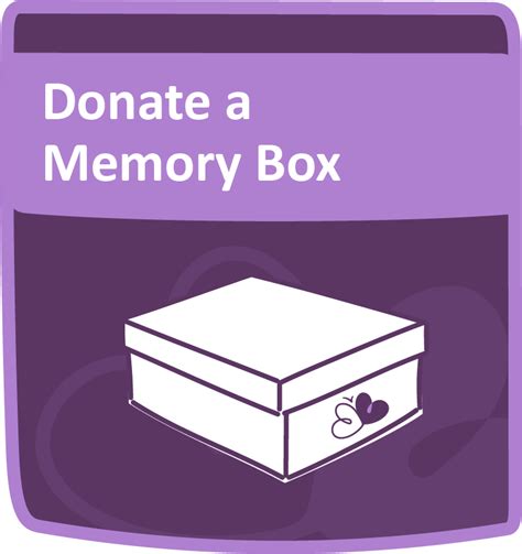 Donate A Memory Box Simba
