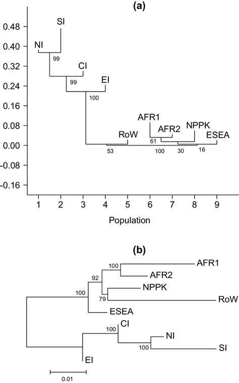 Neighbor Joining Nj Tree Of Clustering Of Nine Geographic C