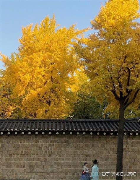 古人形容秋天的诗词 收获的季节 充满了无尽的凄凉 知乎