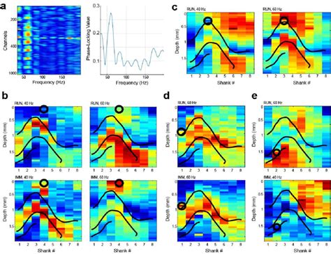 Topographic Analysis Of The Phase Locking Of Unit Activity To The LFP Download Scientific