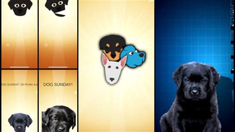 Forsaken Ar 100 Game Again 25 Dog Sunday Dev Skin And Other Icons