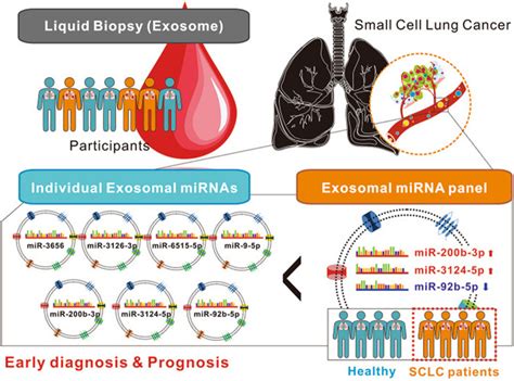 Revolutionizing Lung Cancer Treatment Harnessing Exosomes As Early