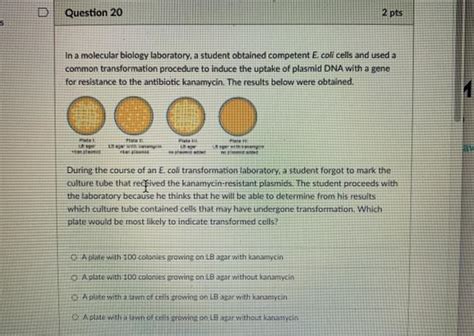 Solved Question Pts In A Molecular Biology Laboratory Chegg
