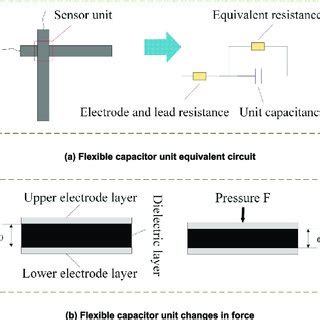 Schematic Diagram Of The Sensor Unit Download Scientific Diagram