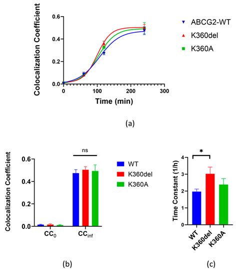 Membranes Free Full Text Expression Function And Trafficking Of