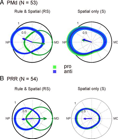 predominant spatial tuning preference for the anti goal in the memory