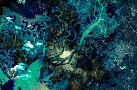 The Future Of Sustainable Data Alliance Fosda On Linkedin Empowering The Sustainability Data