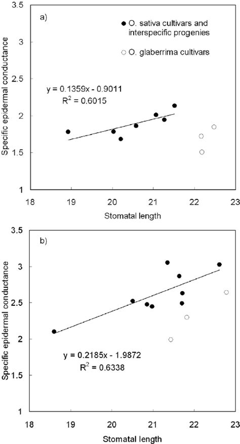 Relationship Between Stomatal Length μm And Specifi C G Per Stomatal