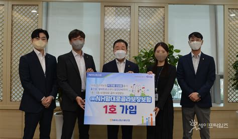 농협손보 고객 니즈 맞춤형 무배당 Nh맘대로골라보장보험 출시 세이프타임즈