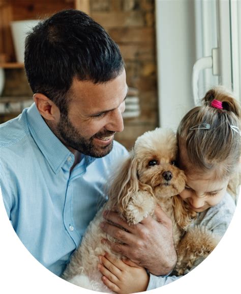 Robust Veterinary Practice Management Software Simplify Your Workflow