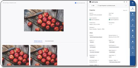 ‎avoid duplicates while adding assets in asset manager sprinklr help
