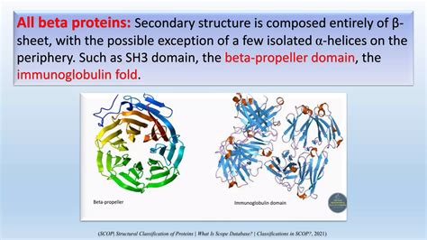 Protein Structure Classificationdomain Prediction Scop And Cath Bioinformaticspdf