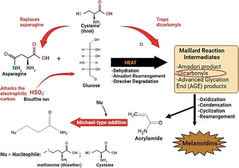 Frontiers Acrylamide A Toxic Maillard By Product And Its Inhibition