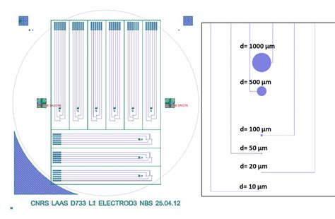 2 Mask Design For The Prototype Polyimide Based Electrodes And