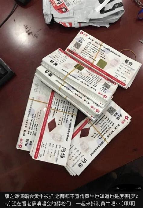 薛之謙演唱會黃牛買假票被抓 每日頭條