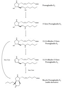 前列腺素E2PGE2ELISA试剂盒最受欢迎的PGE2定量分析试剂盒 每日生物评论