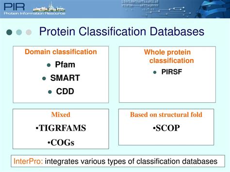 Functional Analysis Of Protein Sequences Ppt Download