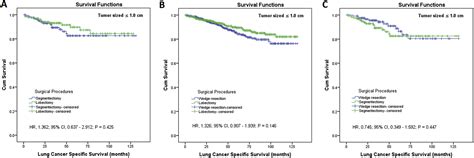 Survival Rates After Lobectomy Segmentectomy And Wedge Resection For Non Small Cell Lung