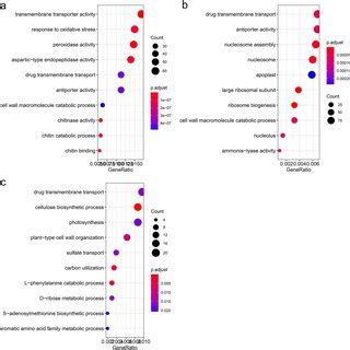 Dot Plots Of The Top Gene Ontology Go Terms Using Go Enrichment