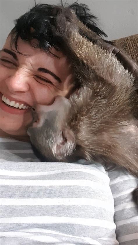Cute Pet Monkey Loving His Human Adorable Monkey Has A Heartwarming