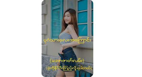 သန်လိုက်တဲ့ဟာကြီး ဖောင်းဒိုင်းစာအုပ် အပြာစာအုပ် အောစာအုပ်များ