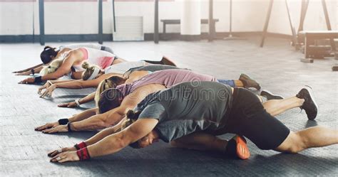 Fitness Class And Gym For Calisthenics Exercise Stretching Action And Group For Flexibility